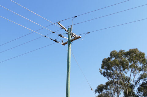 Power Poles - Pacific Energy Group